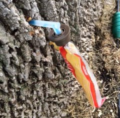The New Tree Injection System From Brandt Is Excellent - Advanced Turf ...