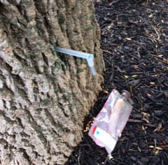 The New Tree Injection System From Brandt Is Excellent - Advanced Turf ...