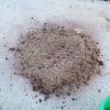How To Build A Divot Mix - Advanced Turf Solutions