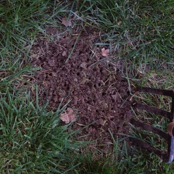 How To Build A Divot Mix - Advanced Turf Solutions