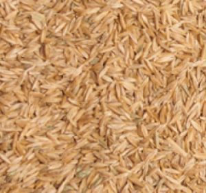 Granular Pre-Emergent Weed Control in Landscape Beds (Products + Tips ...