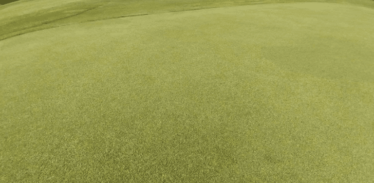 PGR Use on Golf Courses - Advanced Turf Solutions