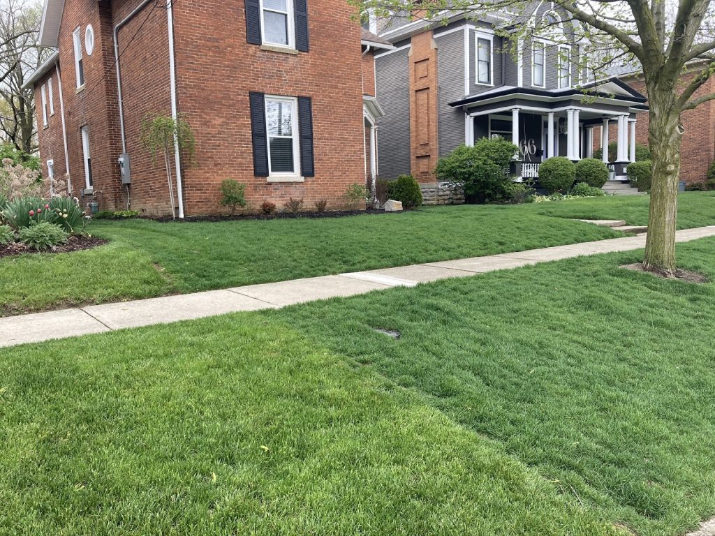 ProVista Kentucky Bluegrass Cuts Mowing Requirement in Half - Advanced ...