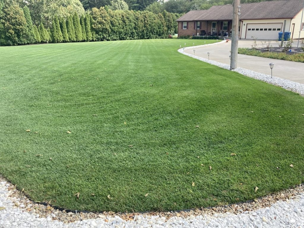 ProVista Kentucky Bluegrass Cuts Mowing Requirement in Half - Advanced ...