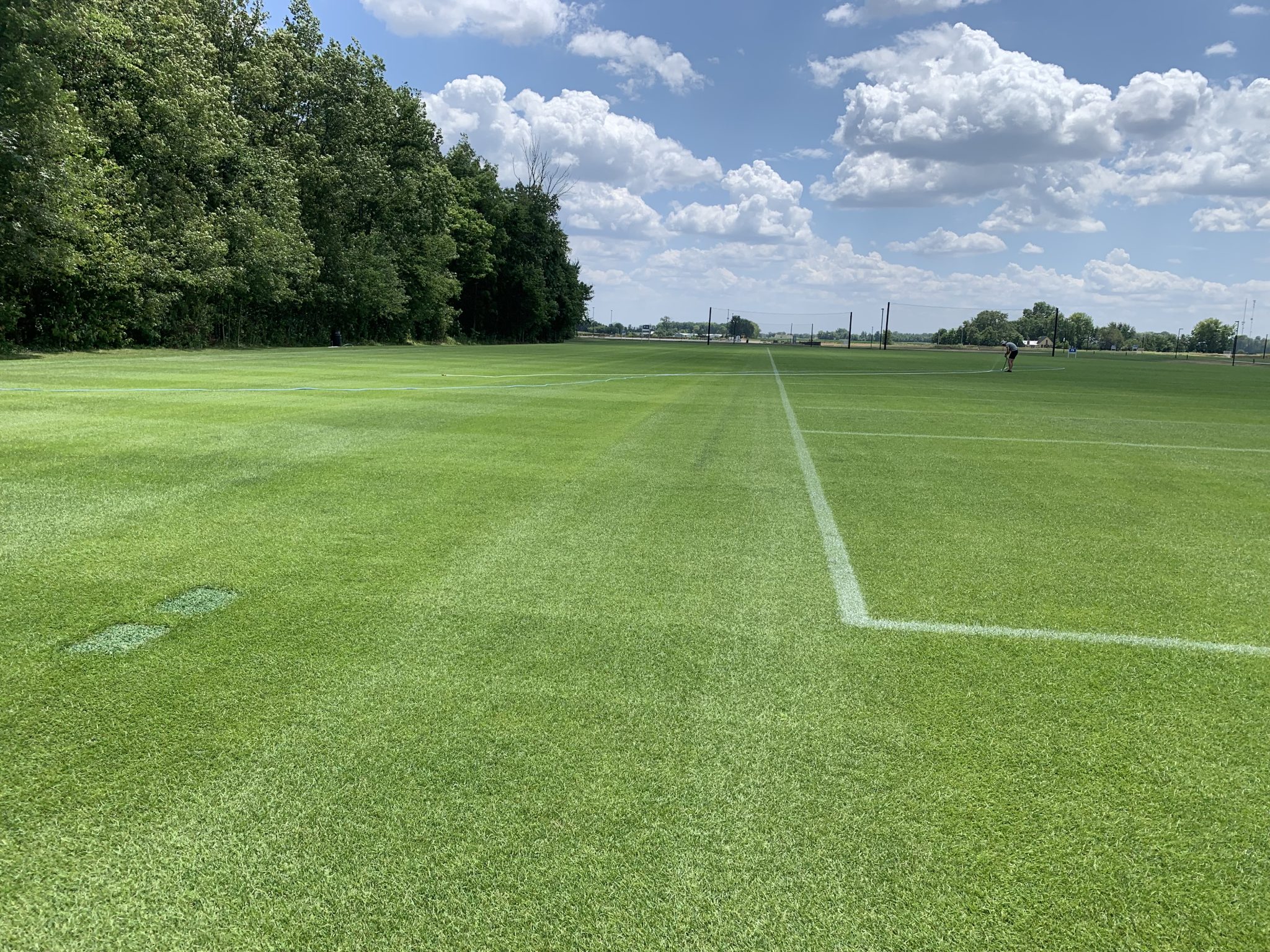 Summer Localized Dry Spot - Advanced Turf Solutions