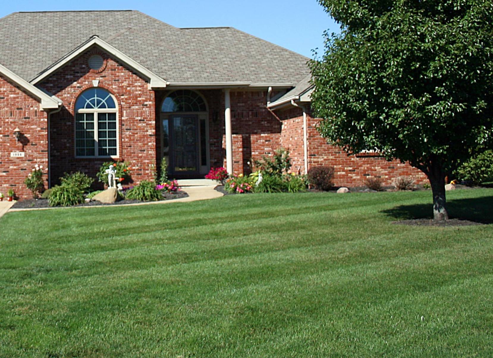 Repairing Drought Damage in Your Lawn - Advanced Turf Solutions