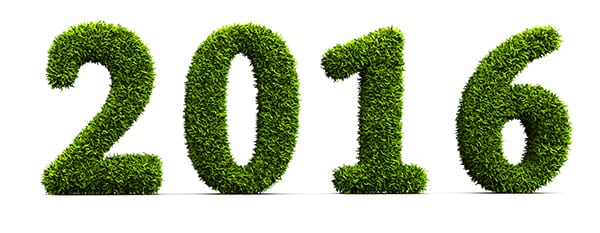 The Endless Summer of 2016 - Advanced Turf Solutions