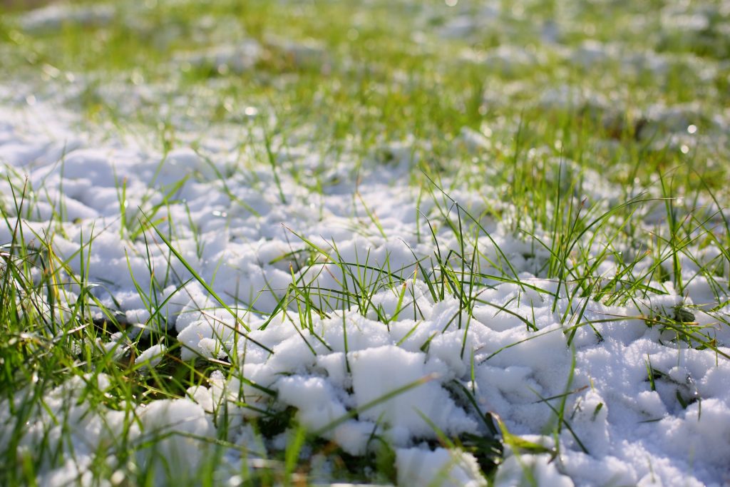 How to Help Turf Recover From Winter - Advanced Turf Solutions