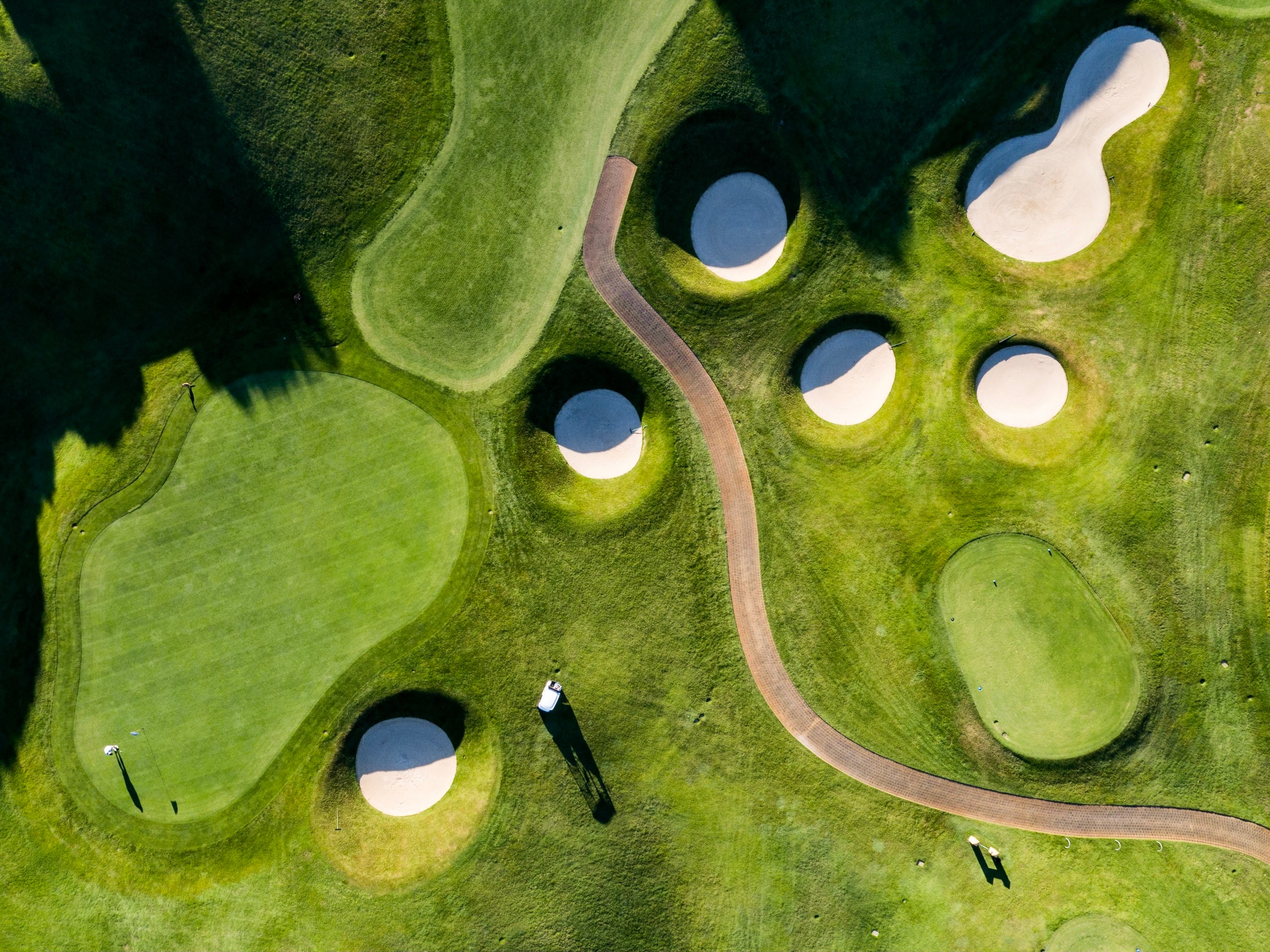 Soil Surfactants for Improved Turf Quality - Advanced Turf Solutions