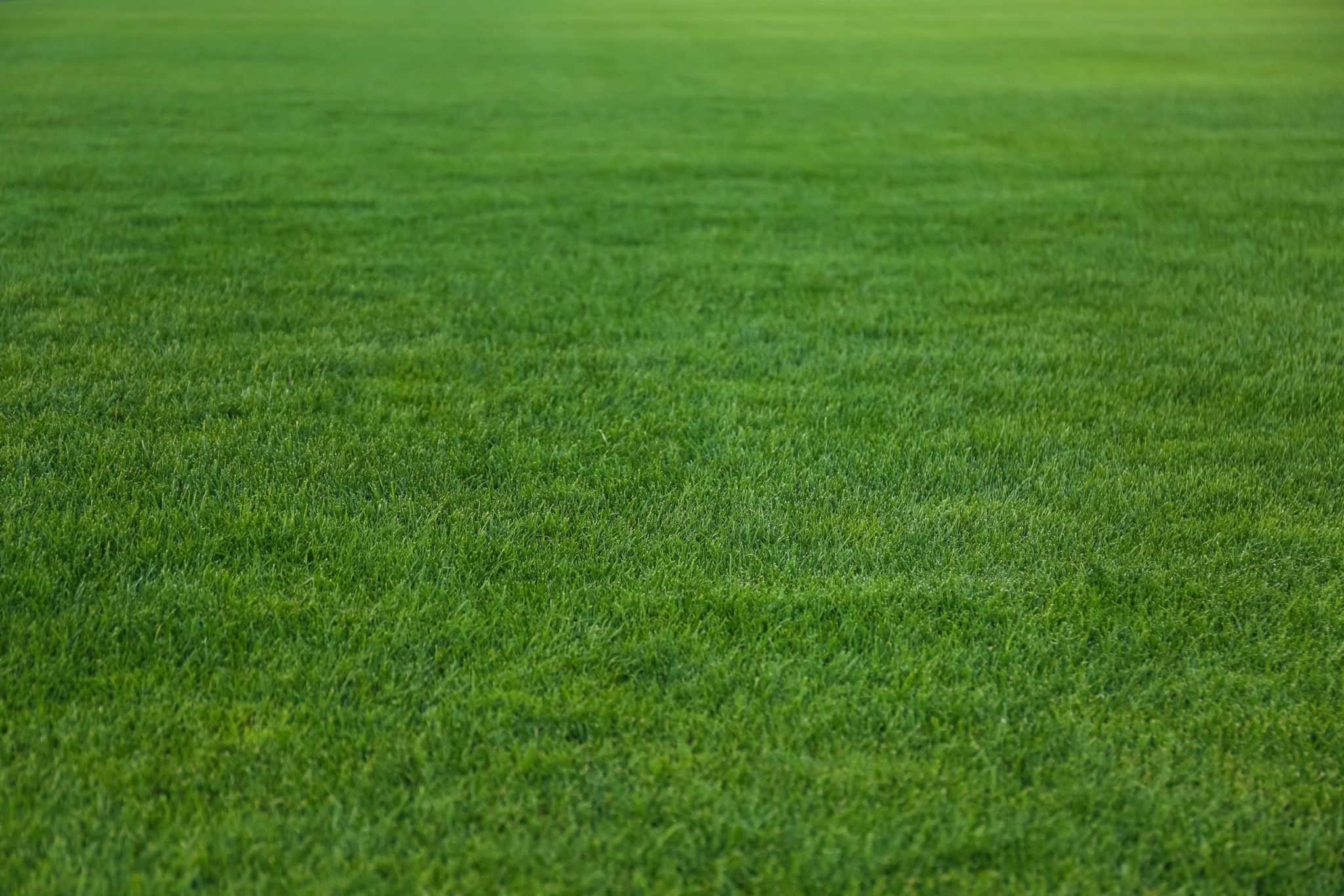 Enhance Turf Health and Resilience With Nature Safe Fertilizers ...