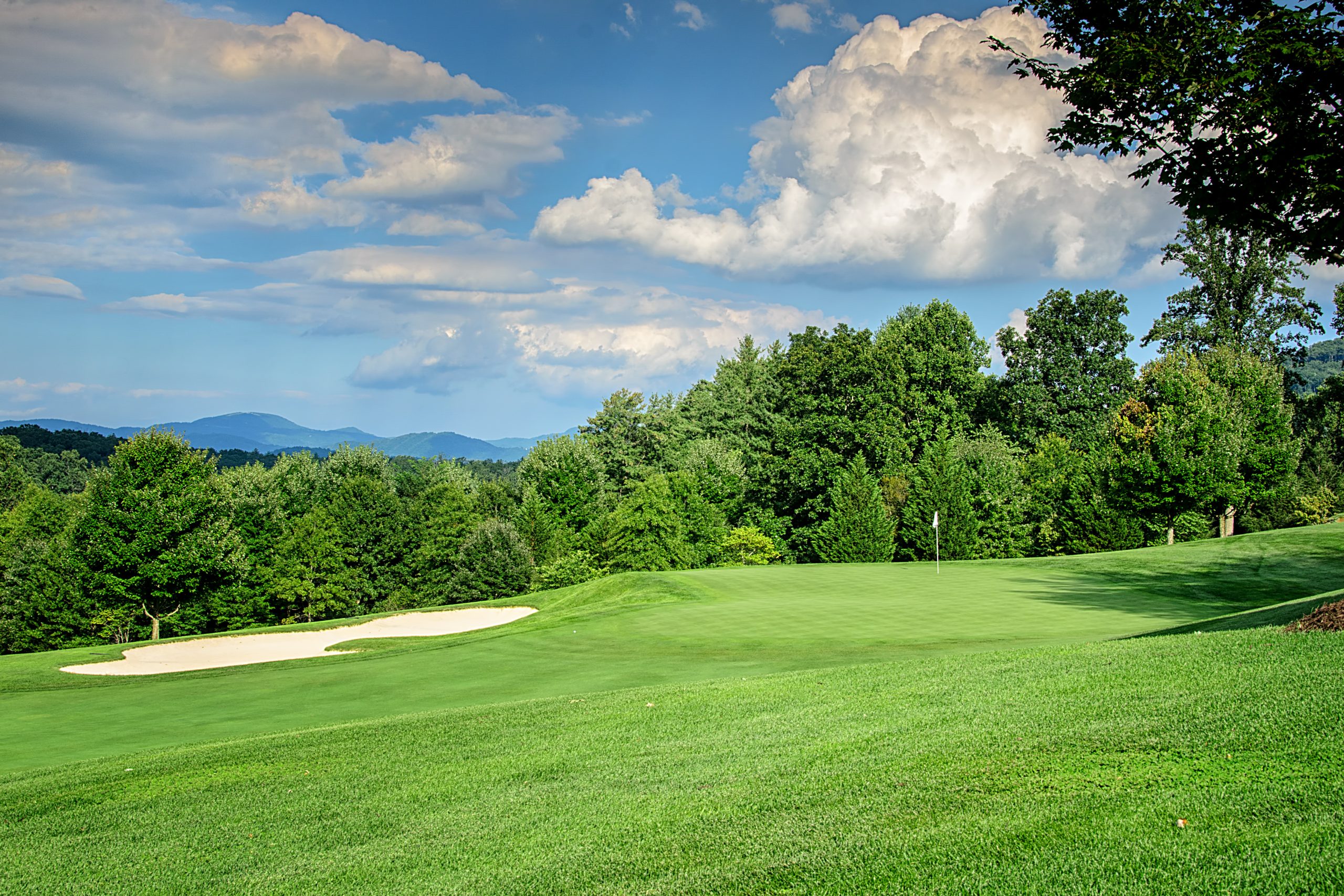 Doveweed on Golf Courses - Advanced Turf Solutions