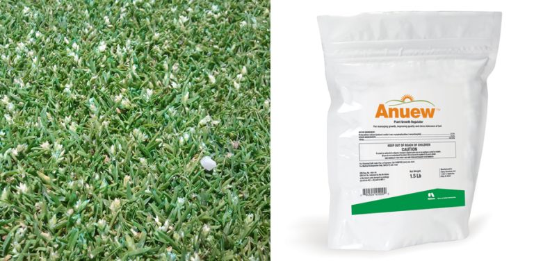 Nufarm Anuew Q&A for Poa Annua Seedhead Suppression - Advanced Turf ...