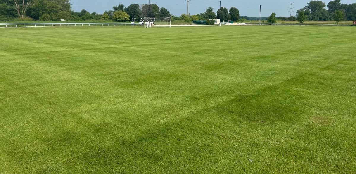 Fall Bermudagrass Strategies - Advanced Turf Solutions