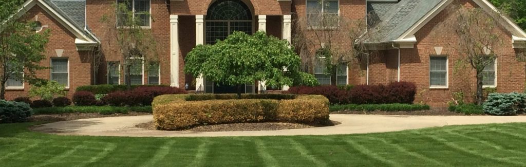 Midwest Boxwood Complex of 2023 - Advanced Turf Solutions