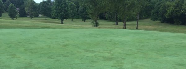 Golf Course Disease Control - Advanced Turf Solutions