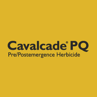 Cavalcade PQ Herbicide To The Rescue - Advanced Turf Solutions