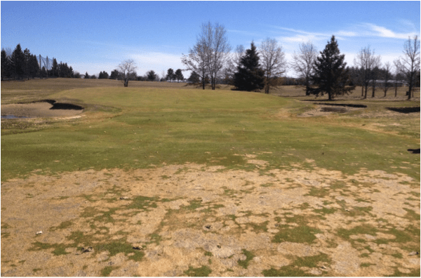 What Lurks Beneath The Snow - Advanced Turf Solutions