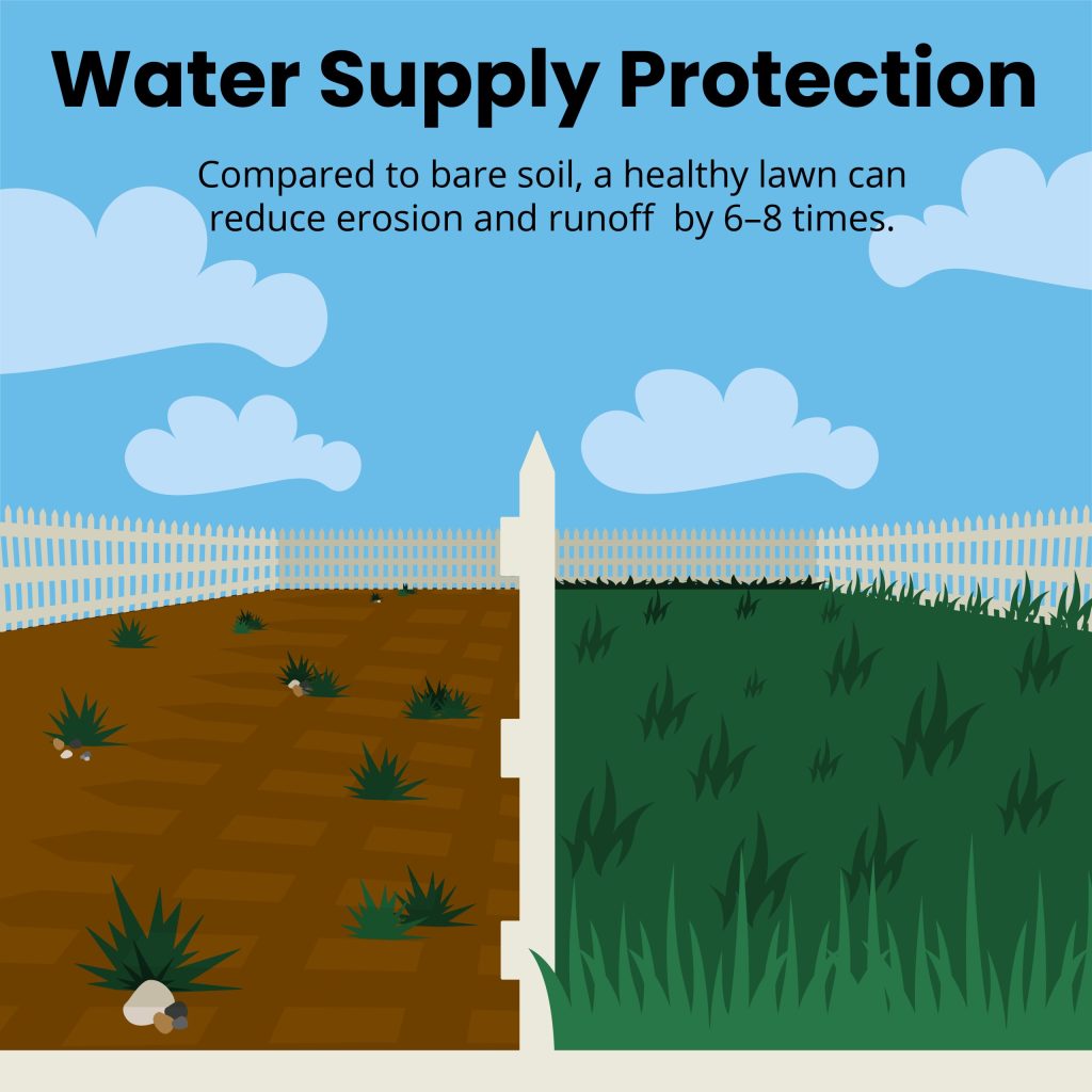 Environmental Benefits of a Healthy Lawn - Advanced Turf Solutions