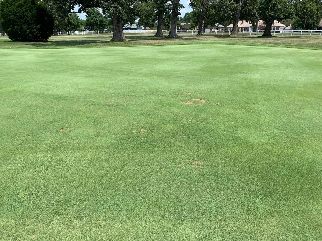 Soil Surfactant Rescue Applications with Precision Labs - Advanced Turf ...