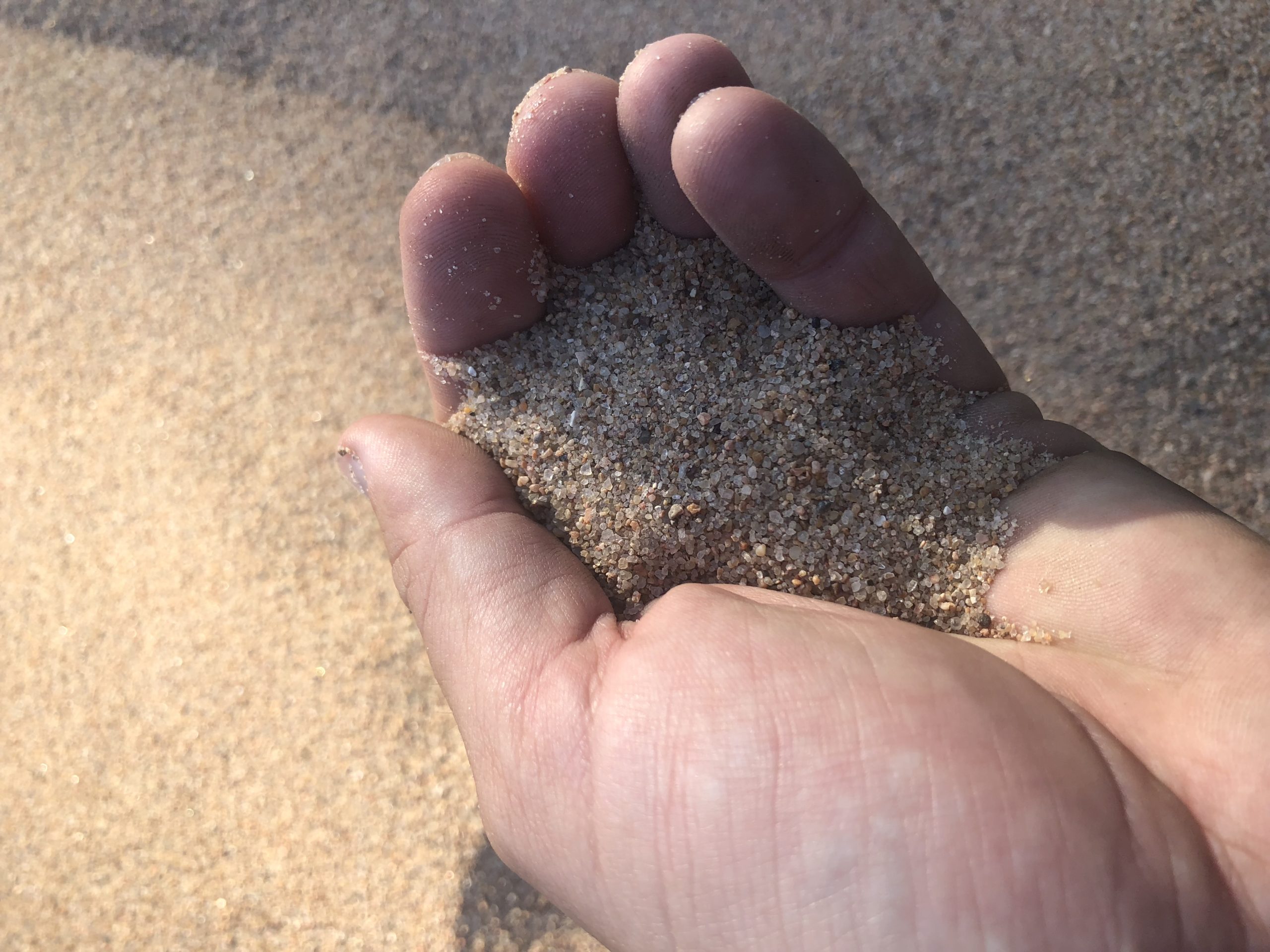 Topdressing Warm-Season Turf - Advanced Turf Solutions