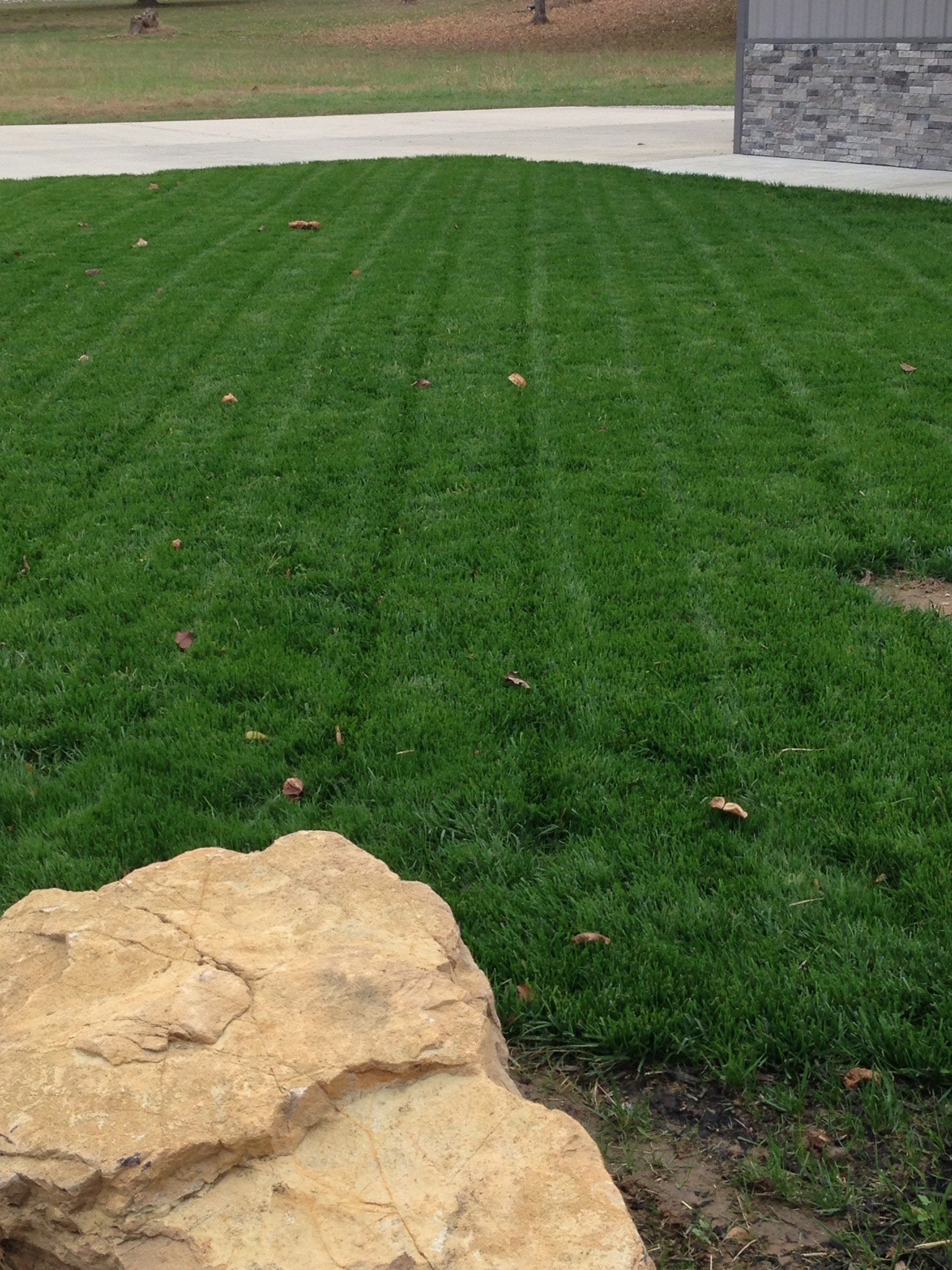 5 Tips to Put Your Cool Season Lawn to Bed - Advanced Turf Solutions