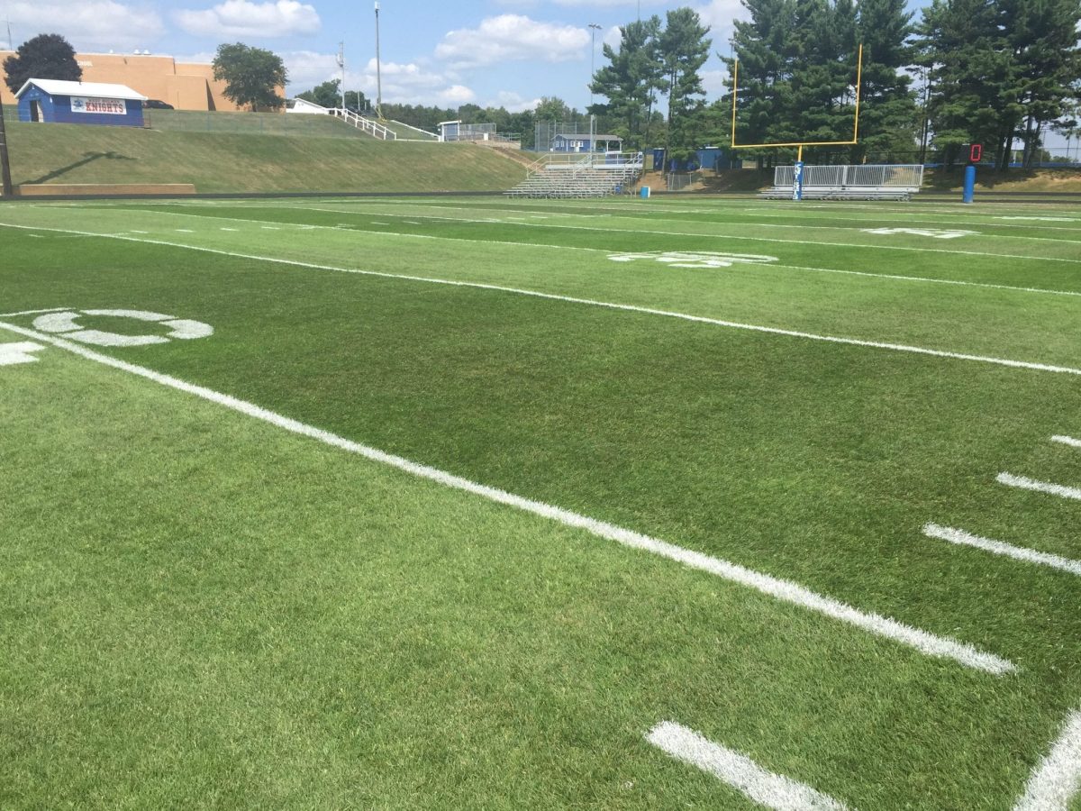 The Real Debate On Natural Vs. Synthetic Turf - Advanced Turf Solutions