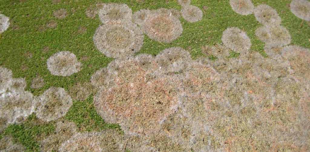 Protecting Your Golf Course Turf From Snow Mold with AMGUARD - Advanced ...