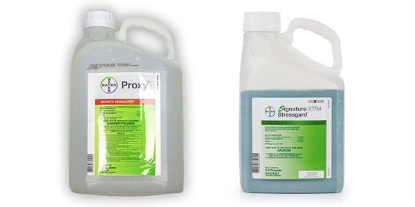 Do's and Don'ts of Poa Annua Control - Advanced Turf Solutions