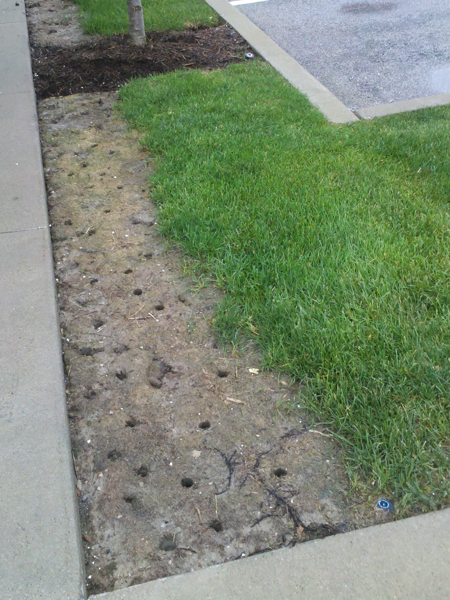 Steps to Prevent Salt Damage in Sensitive Areas this Winter - Advanced ...