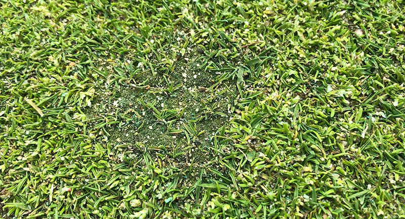 Controlling Silvery Thread Moss - Advanced Turf Solutions