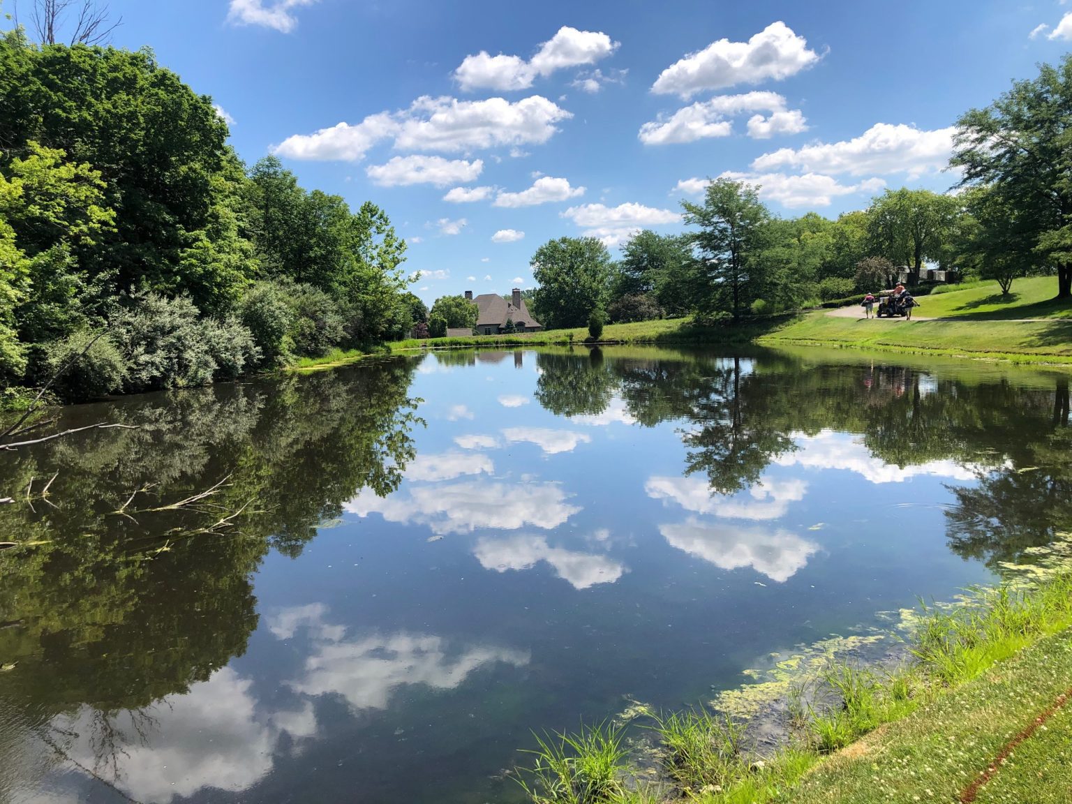 A Unique Way to Control Pond Algae - Advanced Turf Solutions