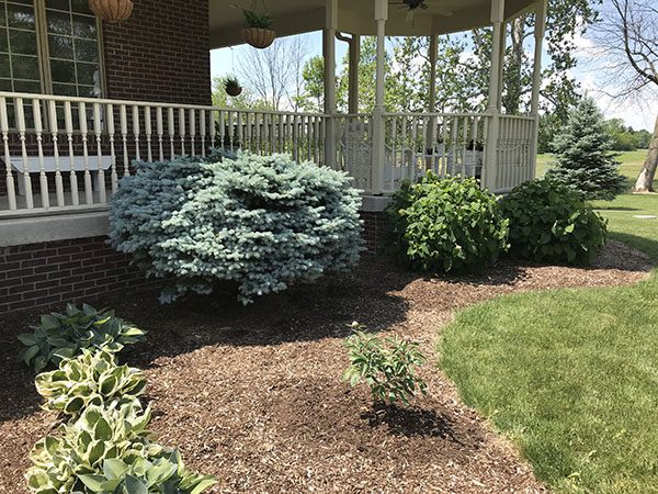How to Rejuvenate a Neglected Lawn and Landscape - Advanced Turf Solutions