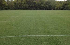 Bermudagrass Management On Athletic Fields In The Transition Zone ...