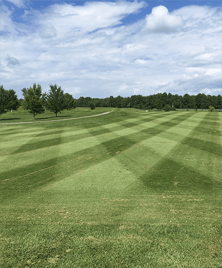 The Benefits of Bluemuda on Golf Courses - Advanced Turf Solutions