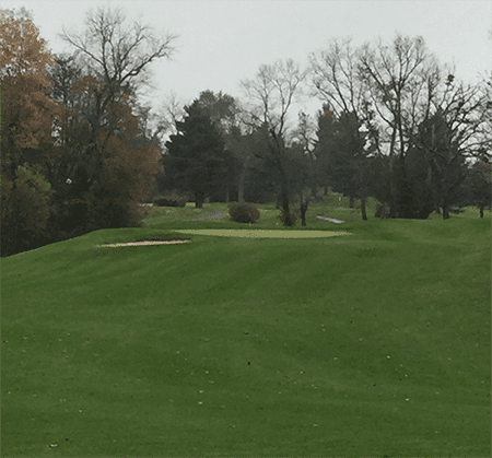 The Benefits of Bluemuda on Golf Courses - Advanced Turf Solutions
