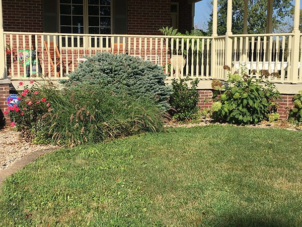 How to Rejuvenate a Neglected Lawn and Landscape - Advanced Turf Solutions