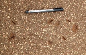 Components of an Infield Mix - Advanced Turf Solutions