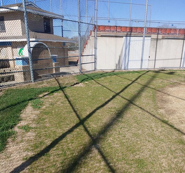 Grow Tarps: The Essential Tool for Growing Warm-Season Grass in the ...