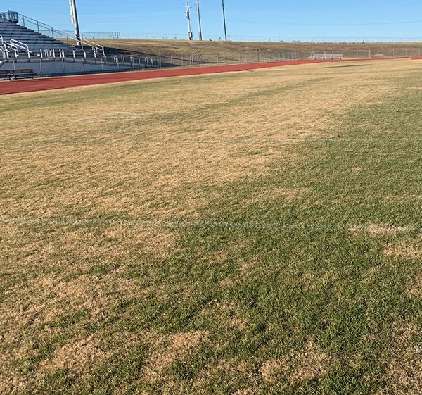 Grow Tarps: The Essential Tool for Growing Warm-Season Grass in the ...