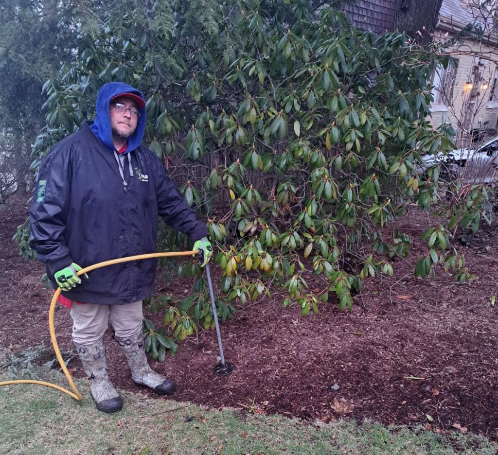 Spring Success with Deep Root Feeding and the Ultimate Ornamental ...