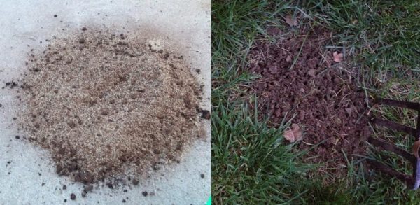 How To Build A Divot Mix - Advanced Turf Solutions