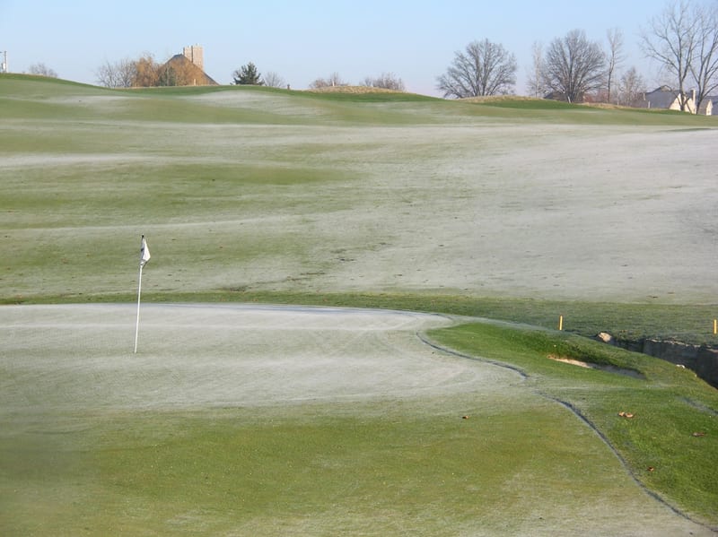 Frost Budgets And Balance - Advanced Turf Solutions