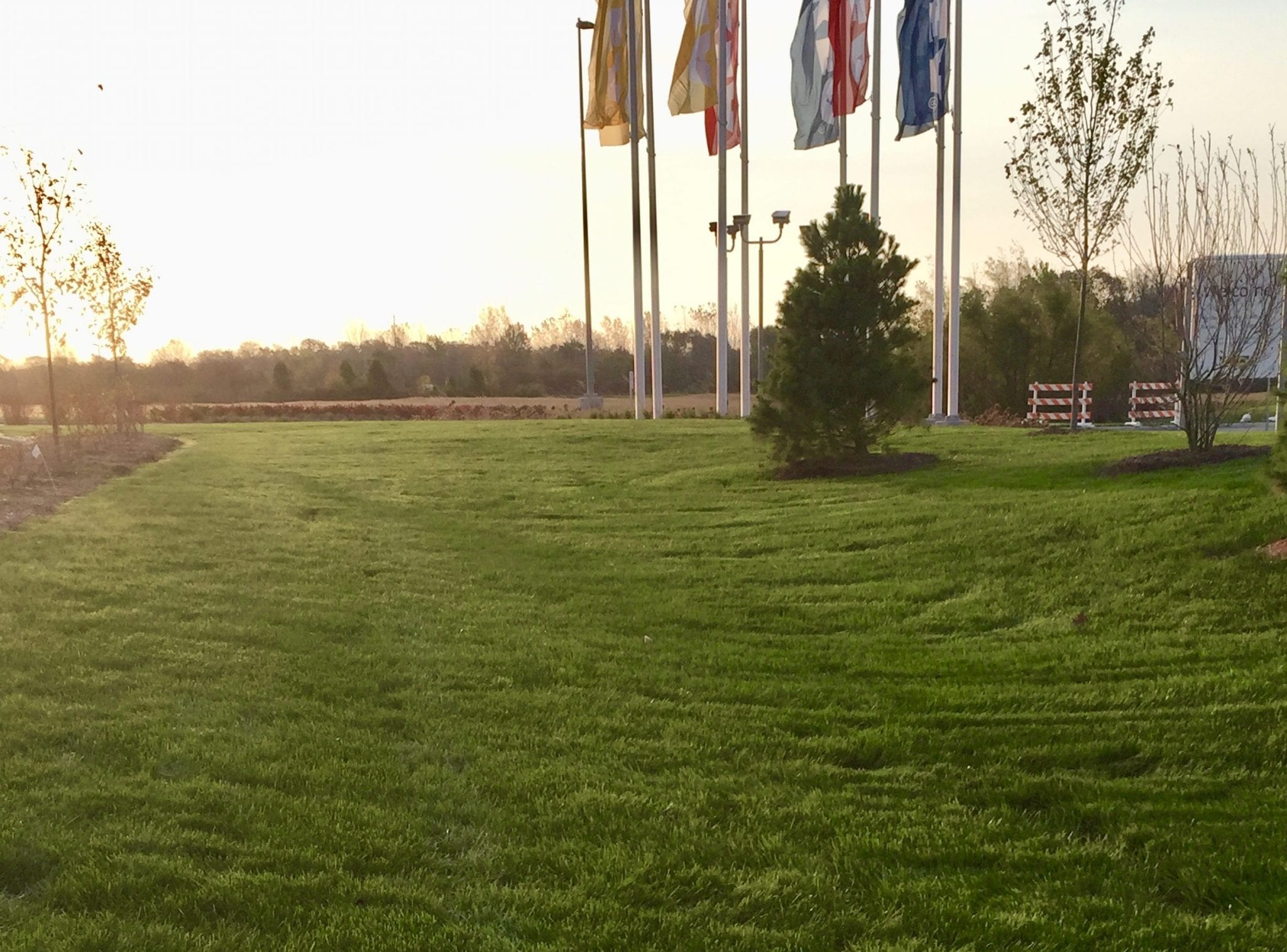 The Secret to Success: How to Transform Sprouting Seed into Dense ...