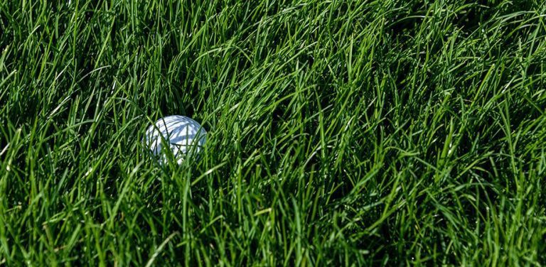 Revitalize Your Cool-Season Golf Course Rough - Advanced Turf Solutions