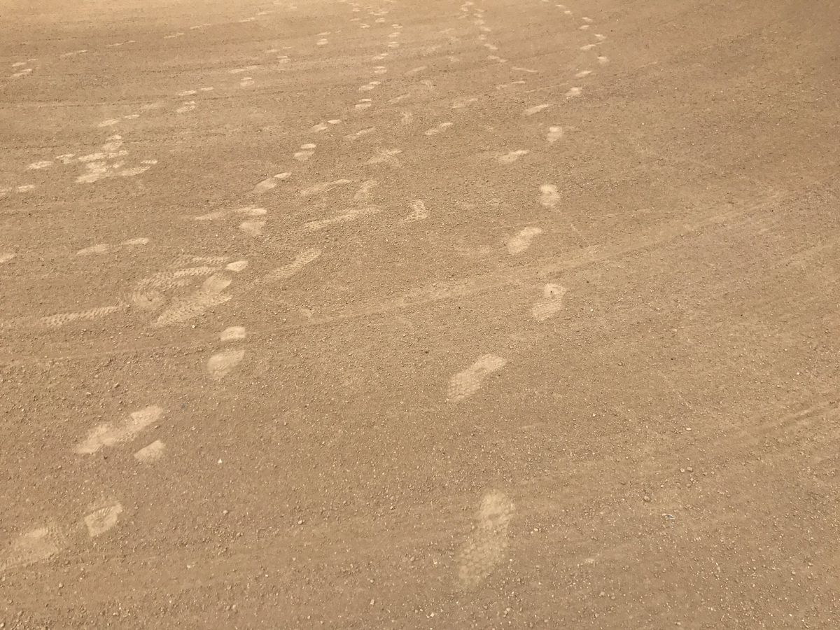 What is a Silt-to-Clay Ratio? - Advanced Turf Solutions