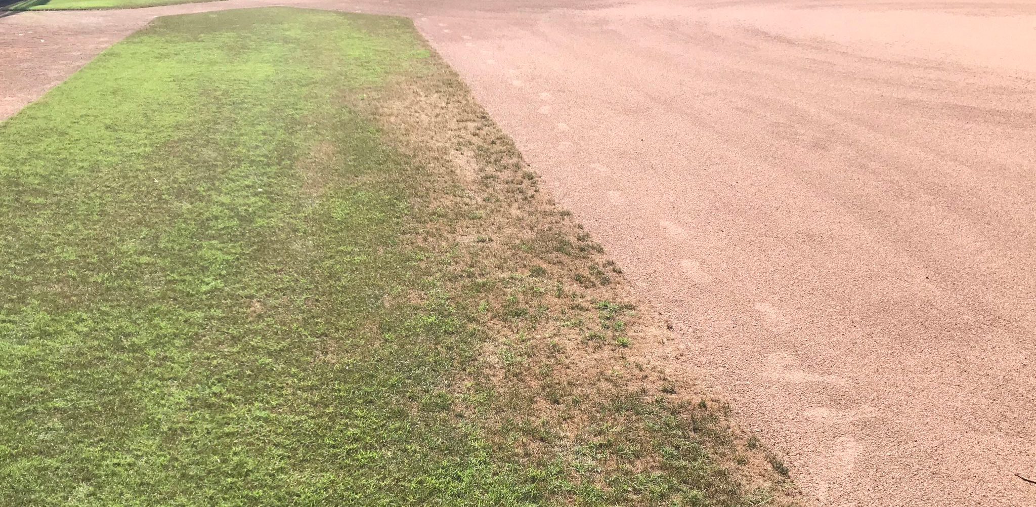 Seeding Into Heavy Traffic Areas - Advanced Turf Solutions