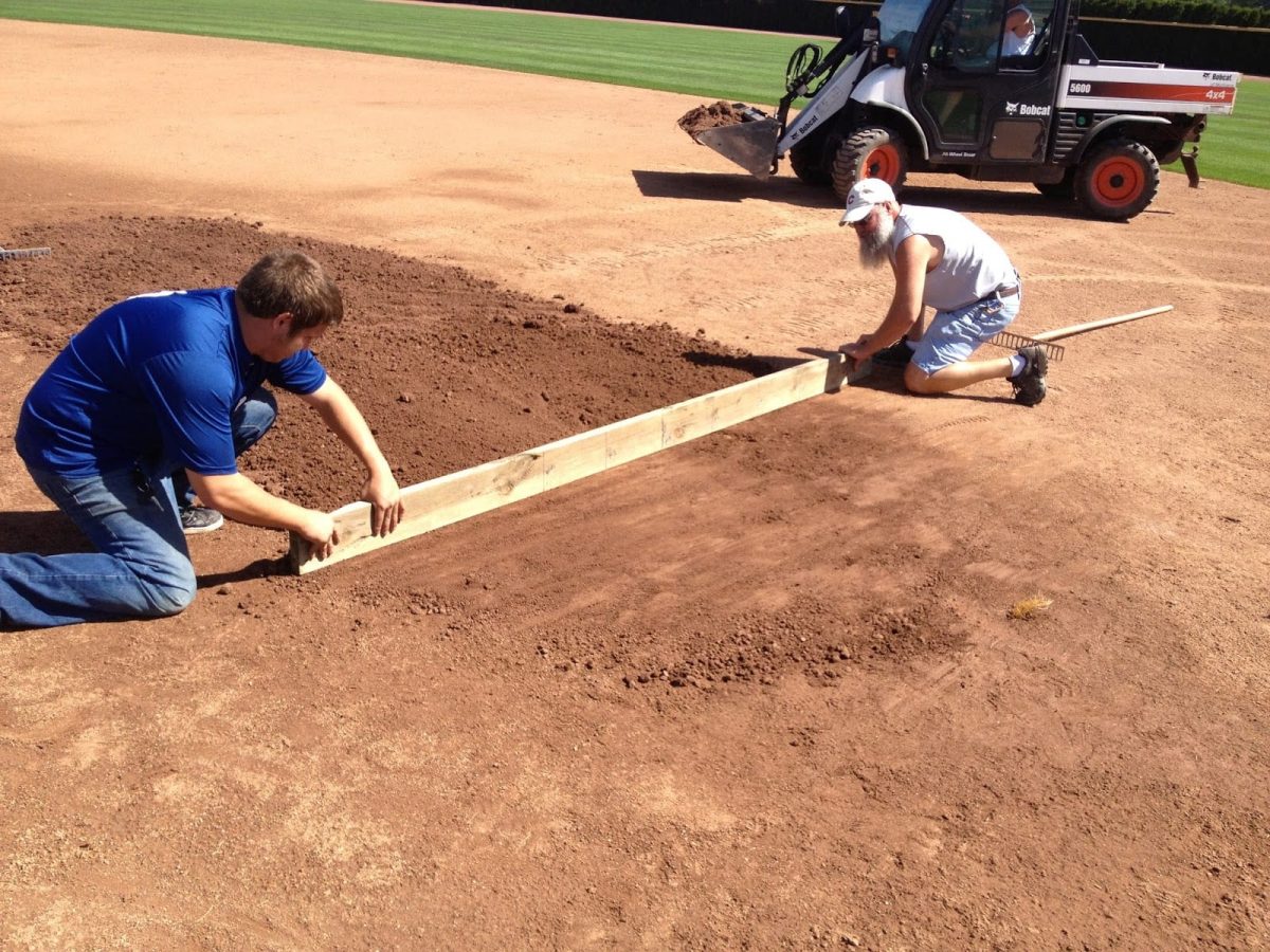 Adding Infield Mix to a Leadoff Area - Advanced Turf Solutions