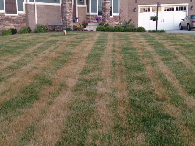 Mowing and Watering the Lawn: Do's and Don'ts - Advanced Turf Solutions