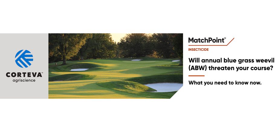 Will Annual Blue Grass Weevil (ABW) Threaten Your Course? What You Need ...