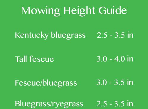 Mowing and Watering the Lawn: Do's and Don'ts - Advanced Turf Solutions